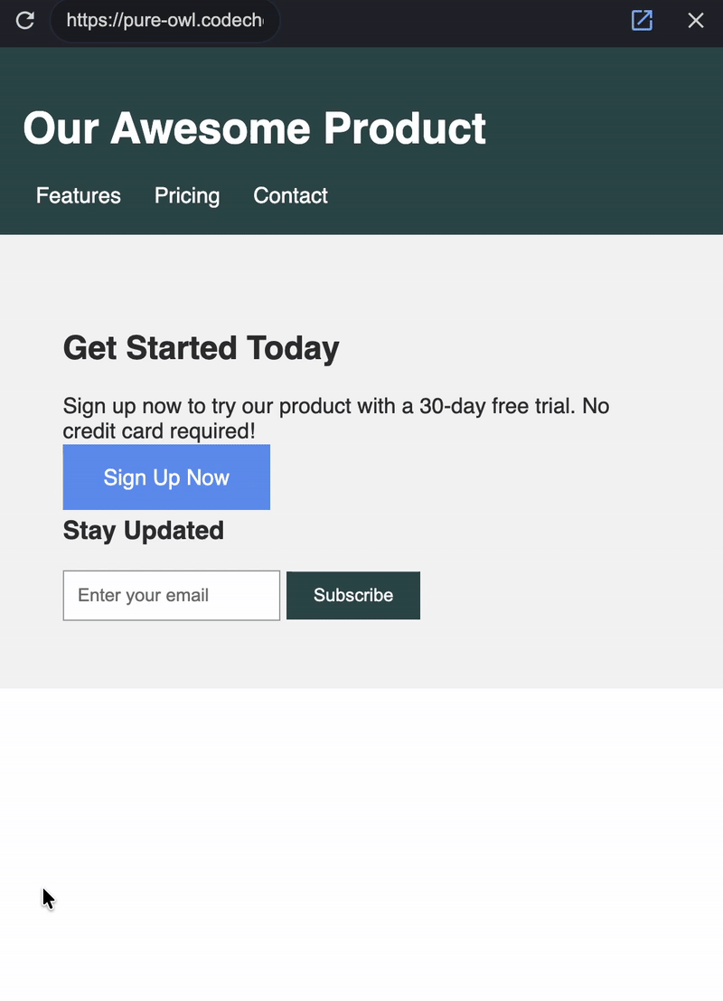 Task - Style an Interactive Landing Page in CSS