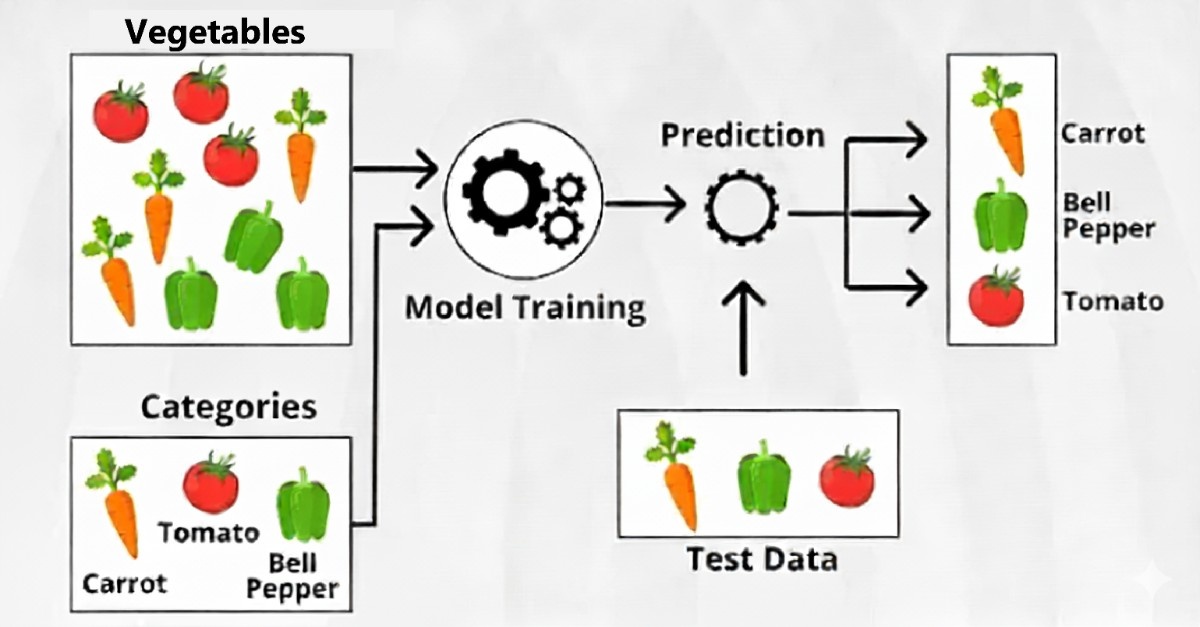 Supervised Learning in Machine Learning