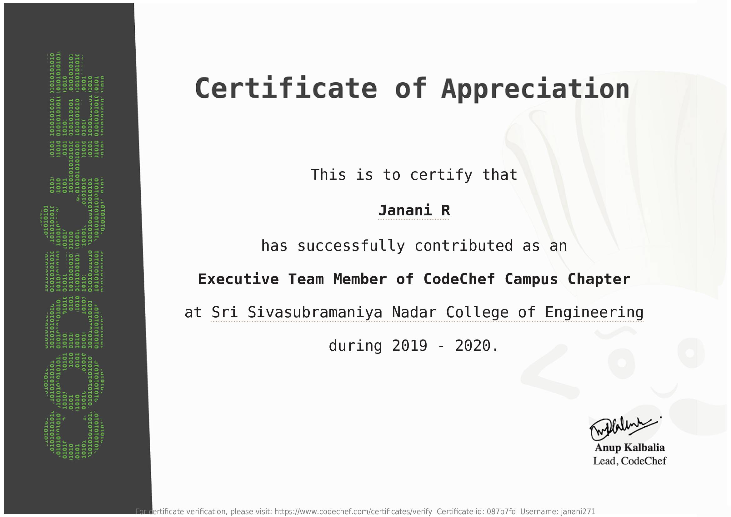 User Certificate | CodeChef